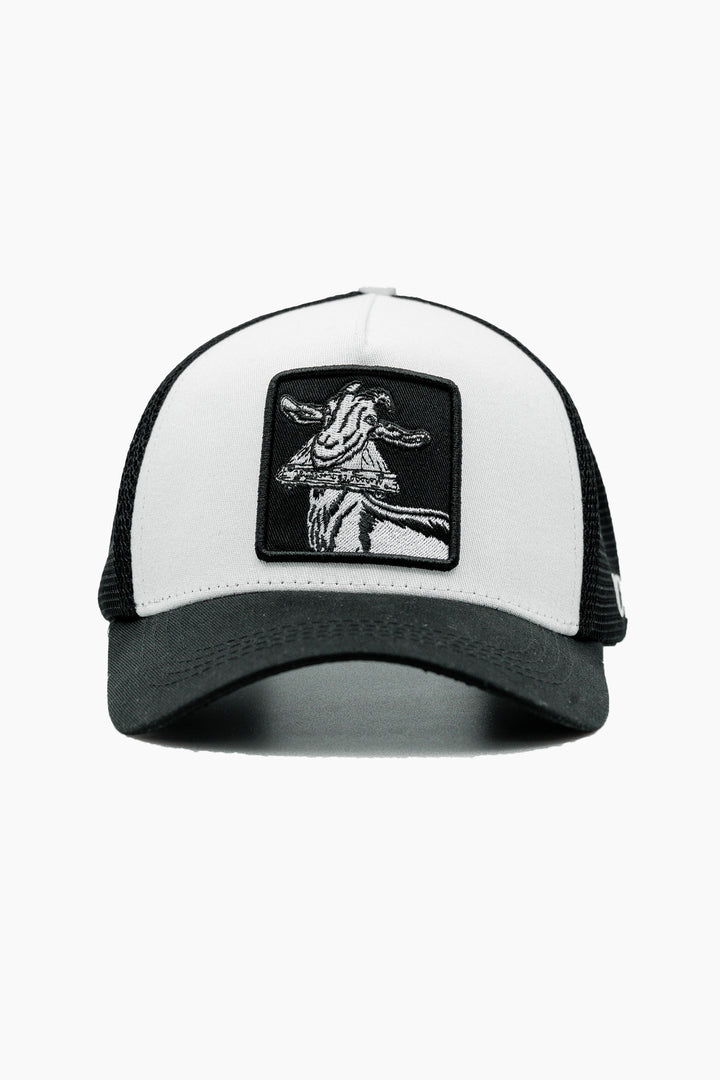 Mesh Truckers – YDK Clothing
